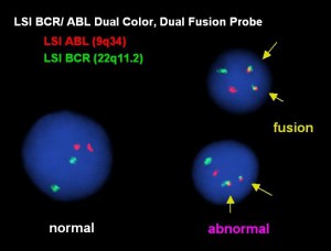 FISH | Wisconsin State Laboratory of Hygiene