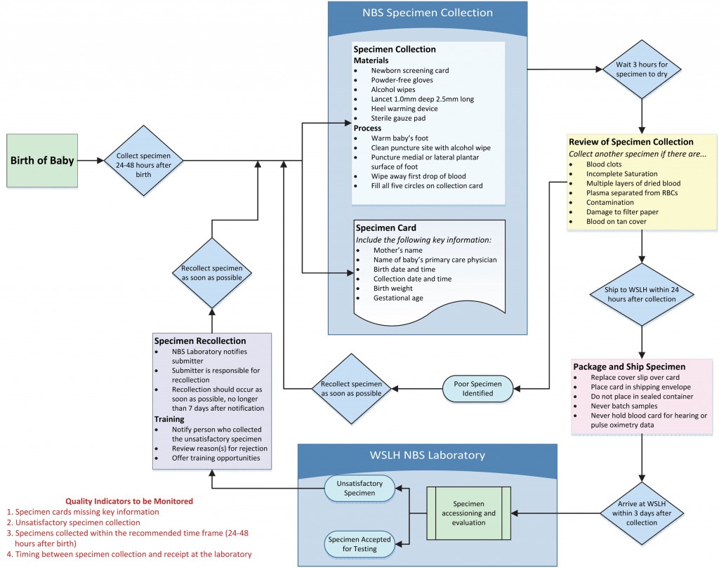NBS-FlowChart-081915 | Wisconsin State Laboratory of Hygiene