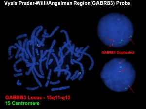 FISH | Wisconsin State Laboratory of Hygiene