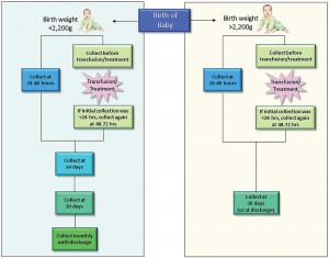 NBS-WhenToCollectFlowChart | Wisconsin State Laboratory of Hygiene